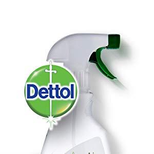 Dettol Antibacterial Surface Cleanser Trigger Lime & Mint 500ml | Dettol AU
